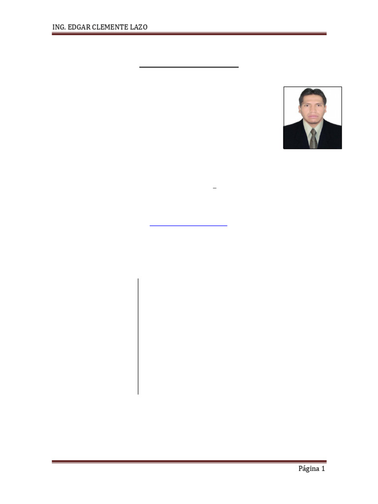 CV Ing. Edgar Clemente - 2025 | PDF | Minería | Perú