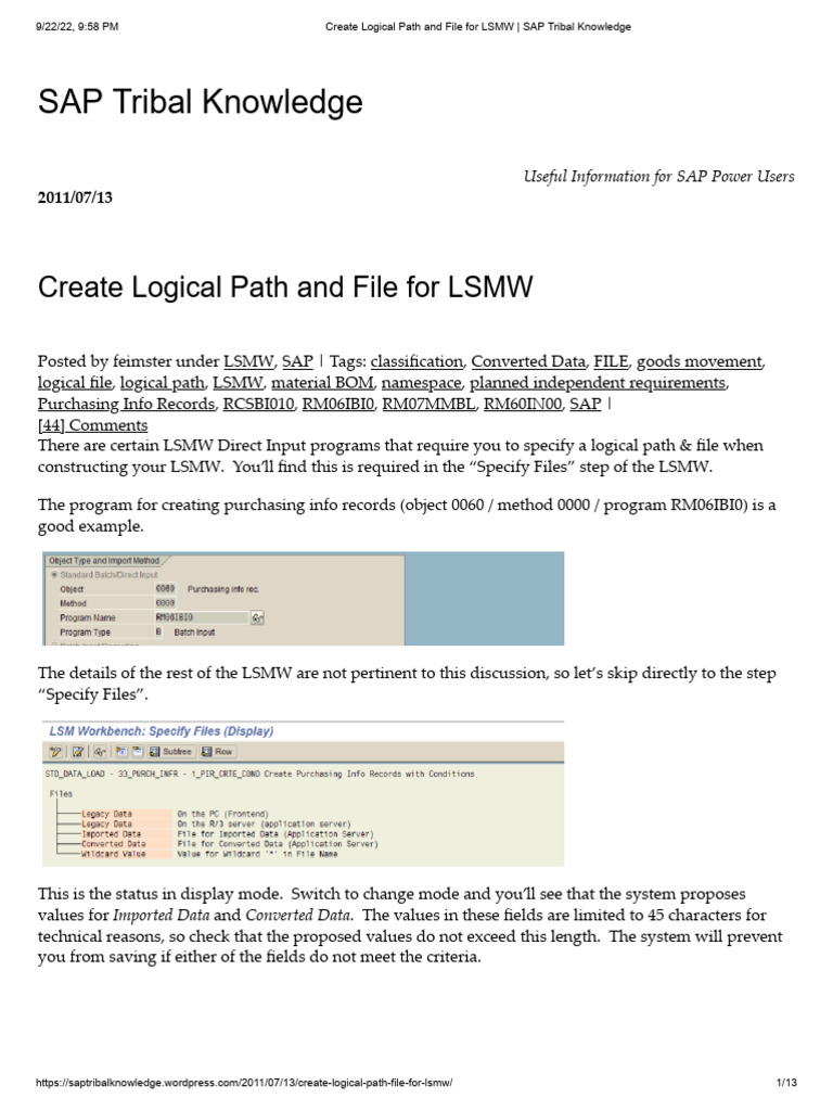 Create Logical Path and File For LSMW - SAP | PDF | Computer File | Filename