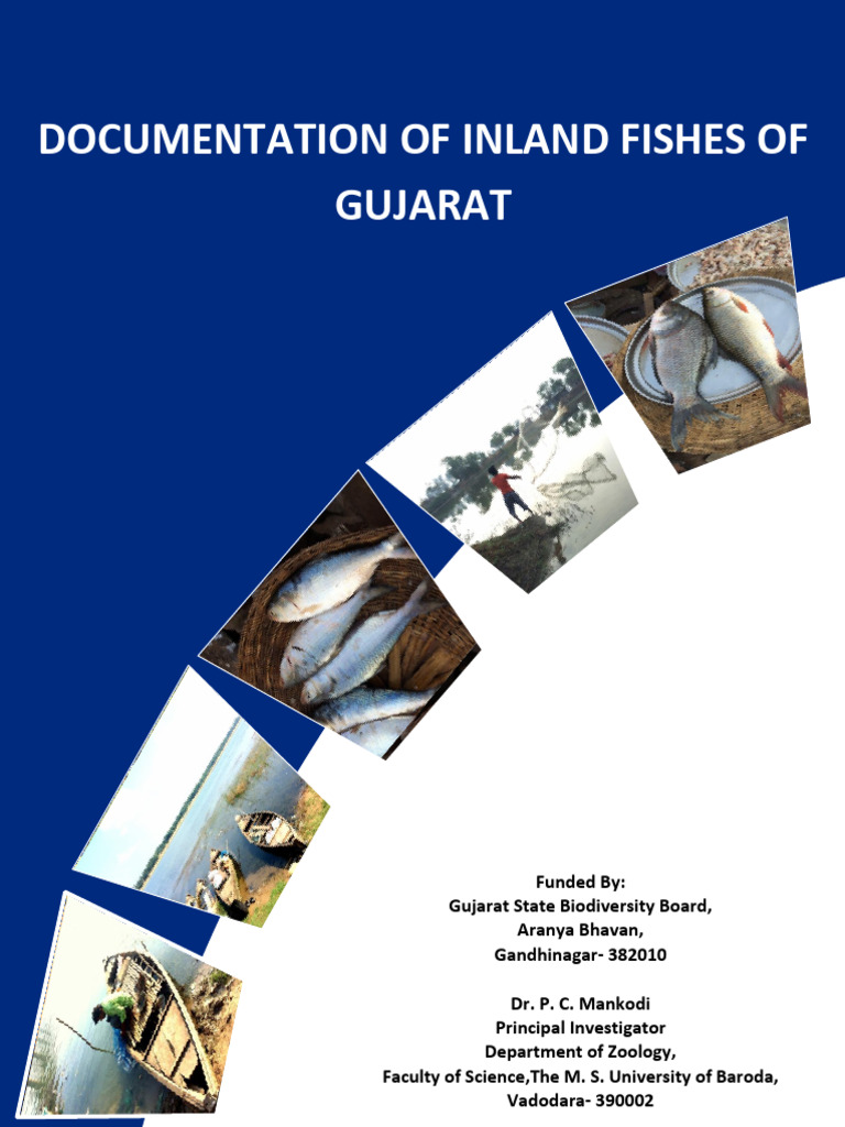 Inland Fish Diversity in Gujarat | PDF | Biodiversity | Aquatic Ecosystem