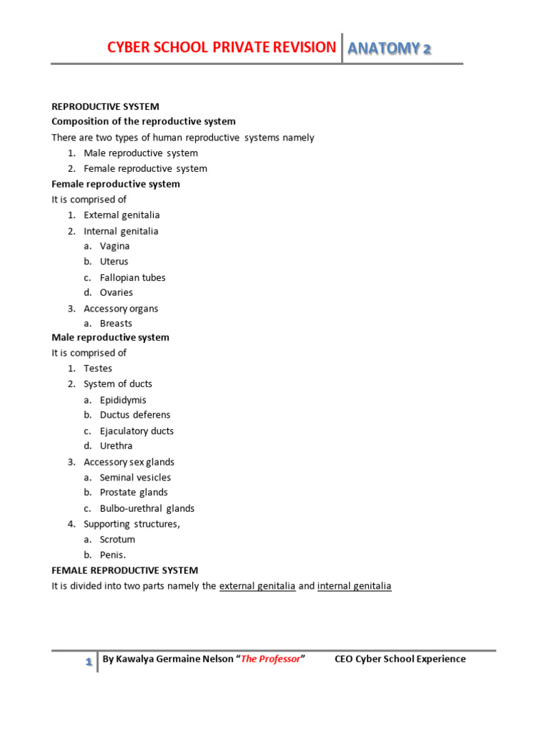 Anatomy of Human Reproductive System | PDF | Uterus | Ovary