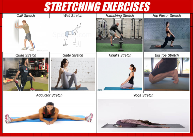 Stretching | PDF