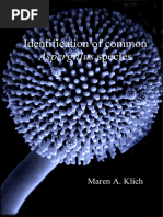 Dry Heat Test Procedure - IEC 60068-2-2 | PDF | Heat | Temperature