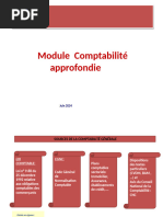 Plan Comptable Algerien SCF PDF | PDF | Comptabilité | Bilan comptable