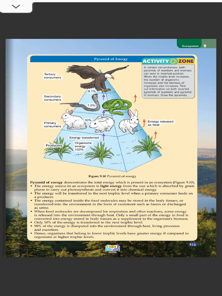 Form 5 Biology Textbook KSSM DLP | PDF