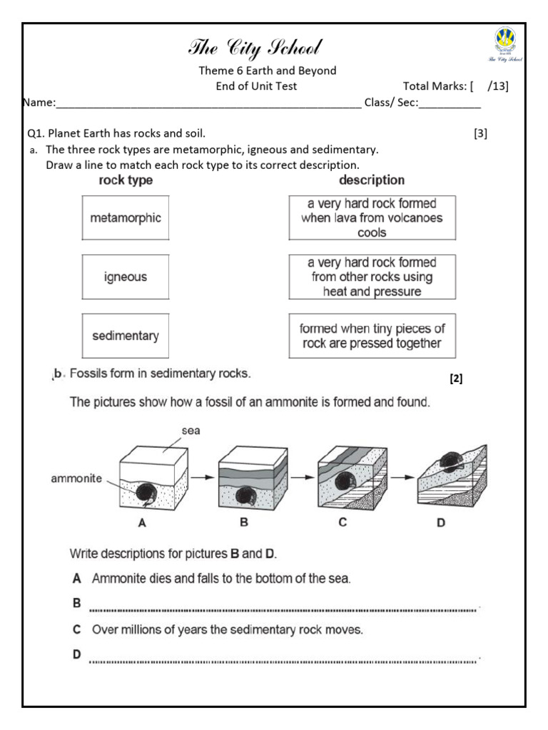 Junior 3 Theme 6 Unit 3 End of Unit Test | PDF