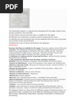 Zombie Menu Brain Project PDF | PDF | Central Nervous System | Nervous ...