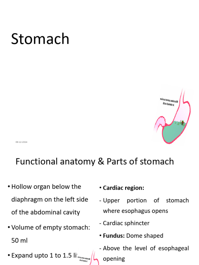 Gi Secretion Edited - pptx9 12 4 | PDF | Stomach | Digestive System