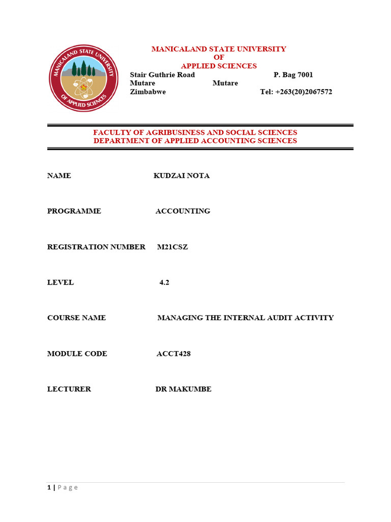 Internal Audit Charter for Metbank | PDF | Internal Audit | Internal ...