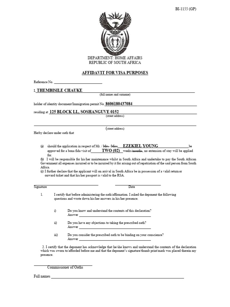 South Africa Visa Affidavit Template | PDF | Travel Visa | Affidavit