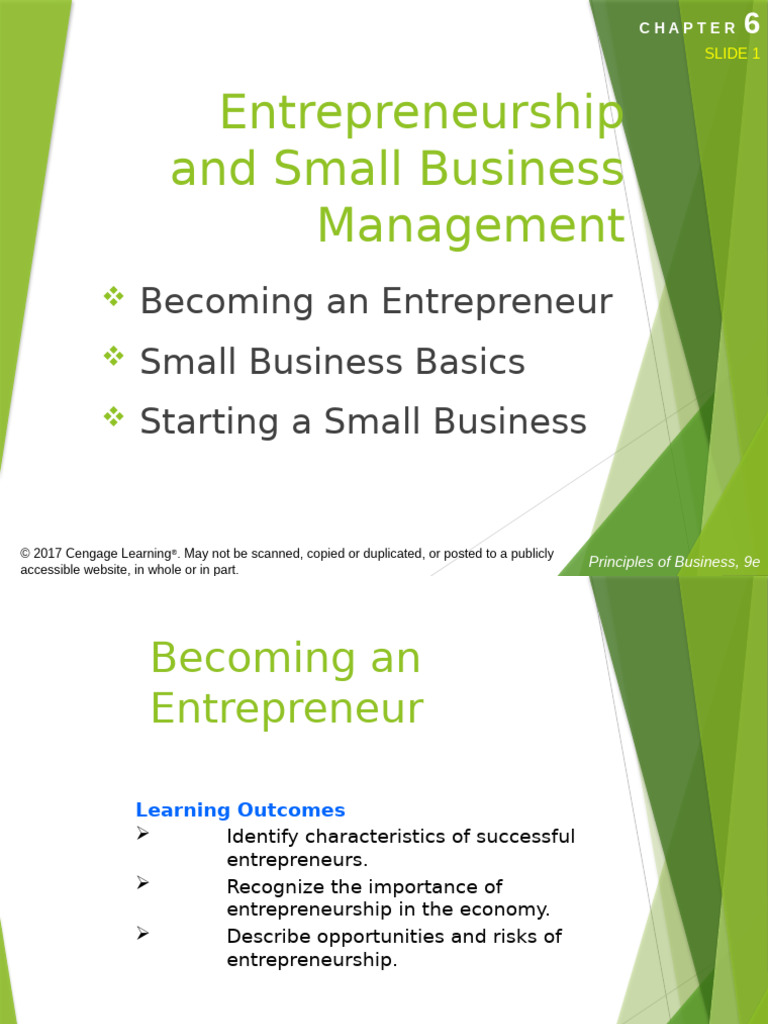 Entrepreneurship and Small Business Guide | PDF | Entrepreneurship ...