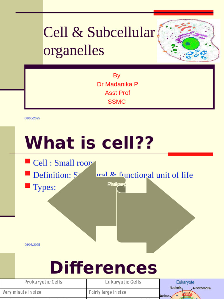 Cell & Subcellular Organelles | PDF | Cell Membrane | Endoplasmic Reticulum
