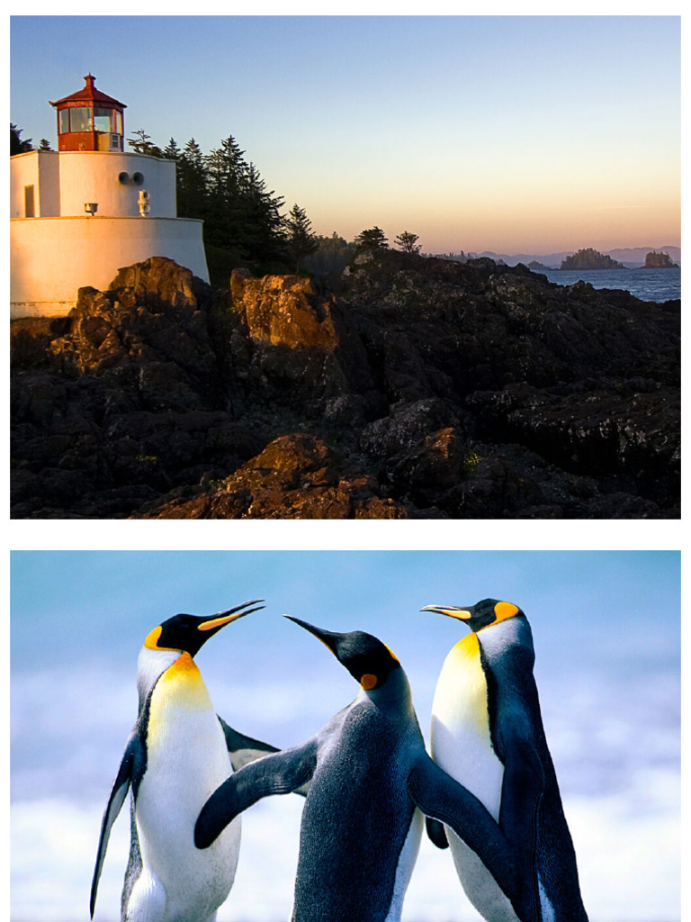 Lighthouse (4 Files Merged) | PDF