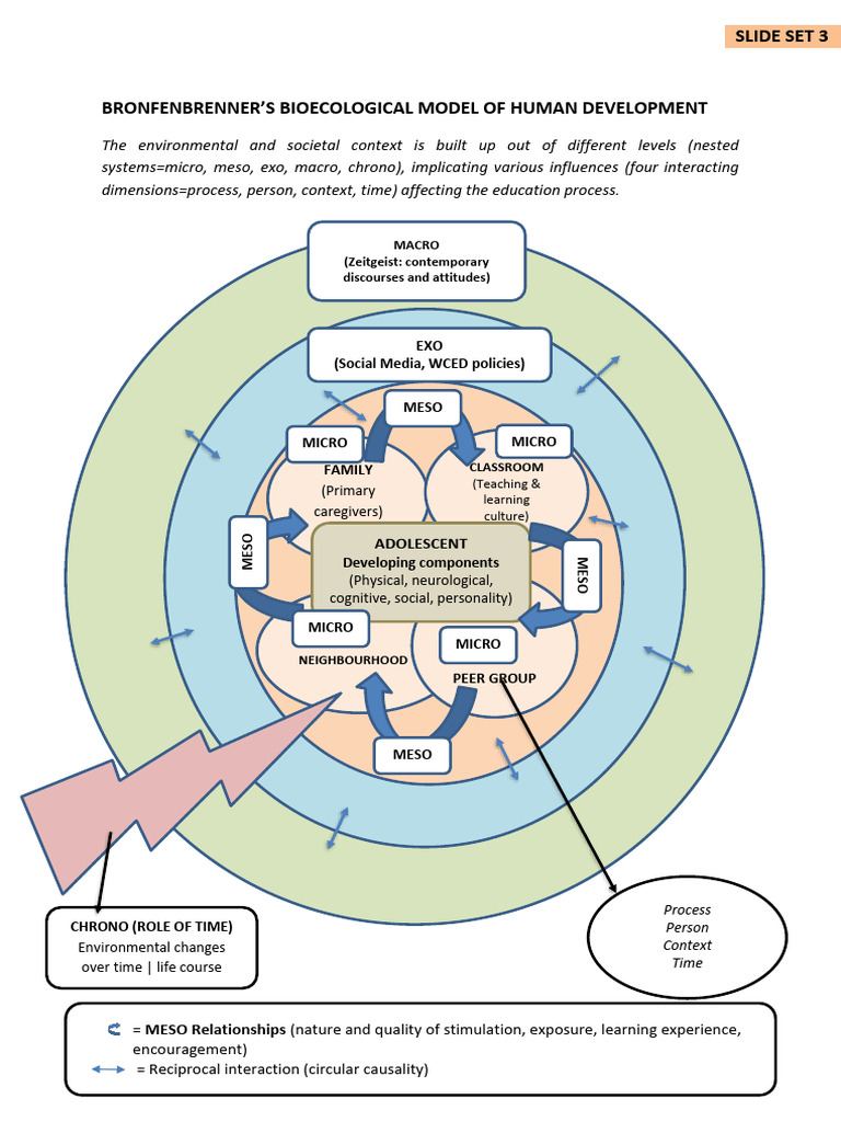 Bronfenbrenner's Development Model Chart | PDF