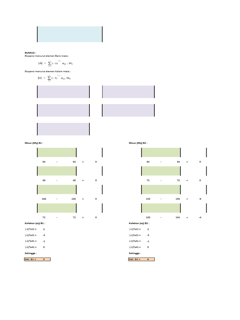 Determinan Matriks 5x5 dan Metode Hitung | PDF