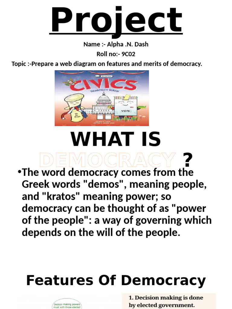 Civics Project | PDF