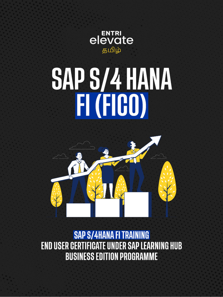 Entri Elevate SAP Finance Ta | PDF | Financial Analyst | Enterprise ...