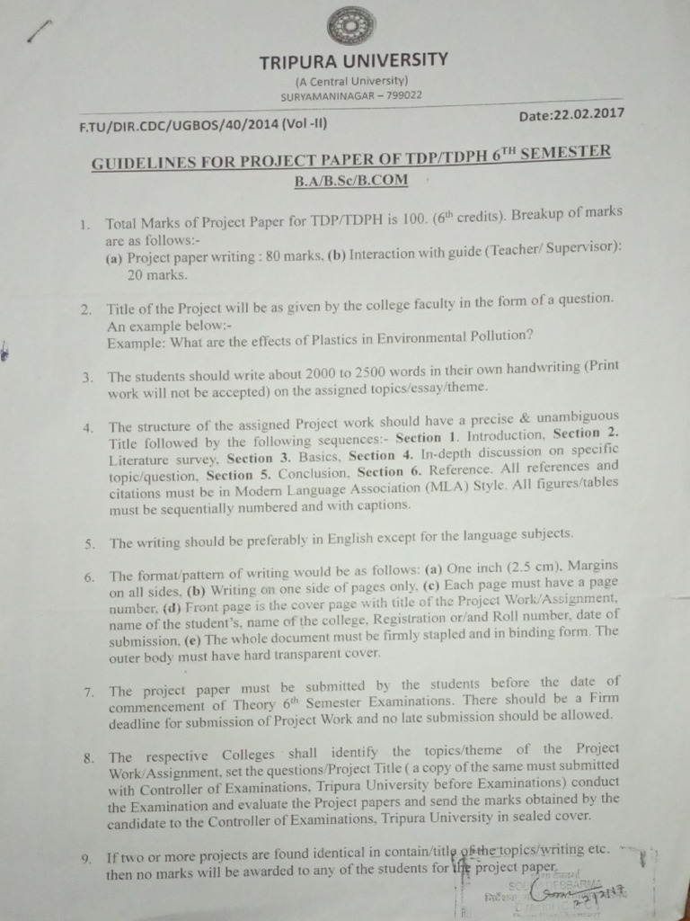 Project Paper Guidelines-TU - 1658388985 | PDF