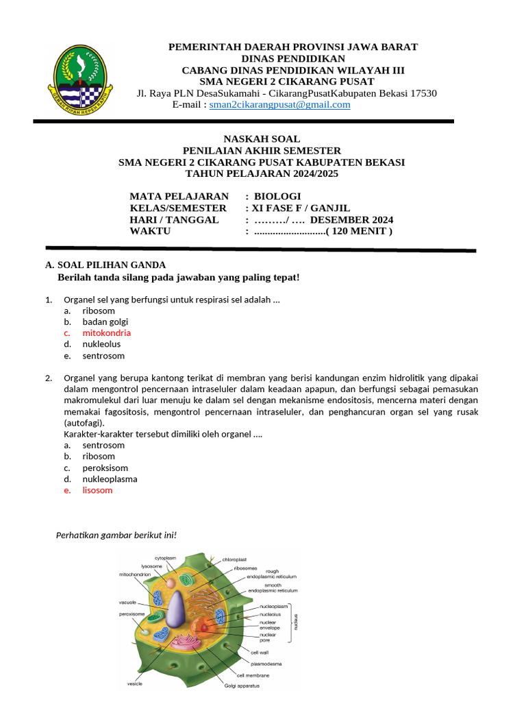 Asesmen Sumatif Akhir Semester Ganjil TP 2024-2025 | PDF