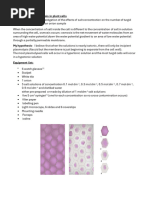 Onion Cell - LAB 5 REPORT | PDF | Osmosis | Applied And ...