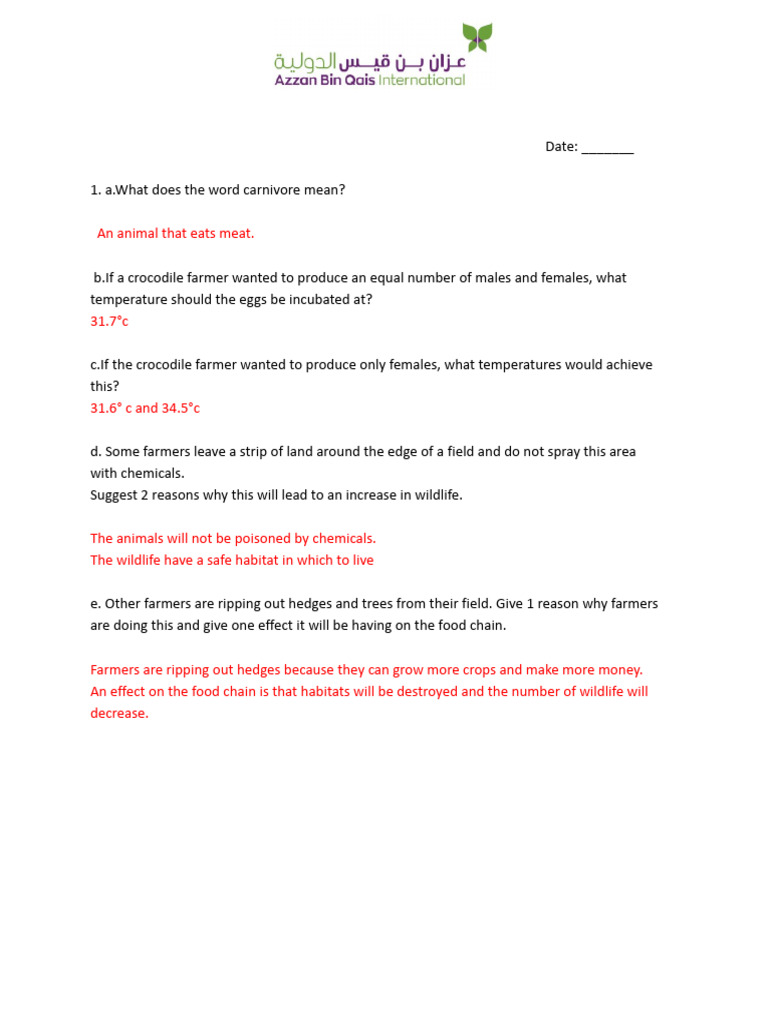Memorandum Revision Worksheet (Unit 4 &5) Grade 6 | PDF