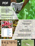 Safeda Tree Description Lavish Sharma | PDF