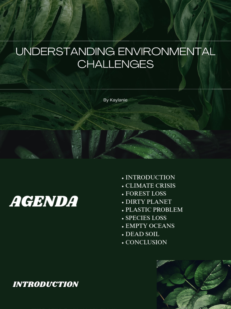 Understanding Environmental Challenges | PDF | Habitat Destruction ...