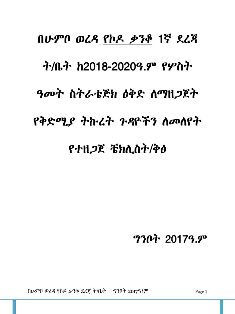 Priority Issues | PDF