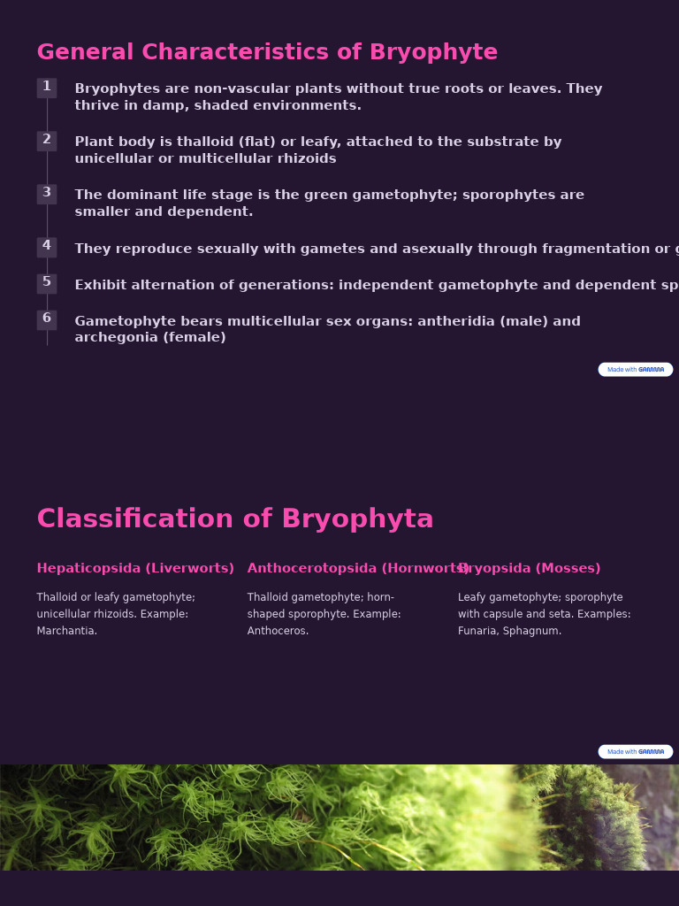General Characteristics of Bryophyte | PDF