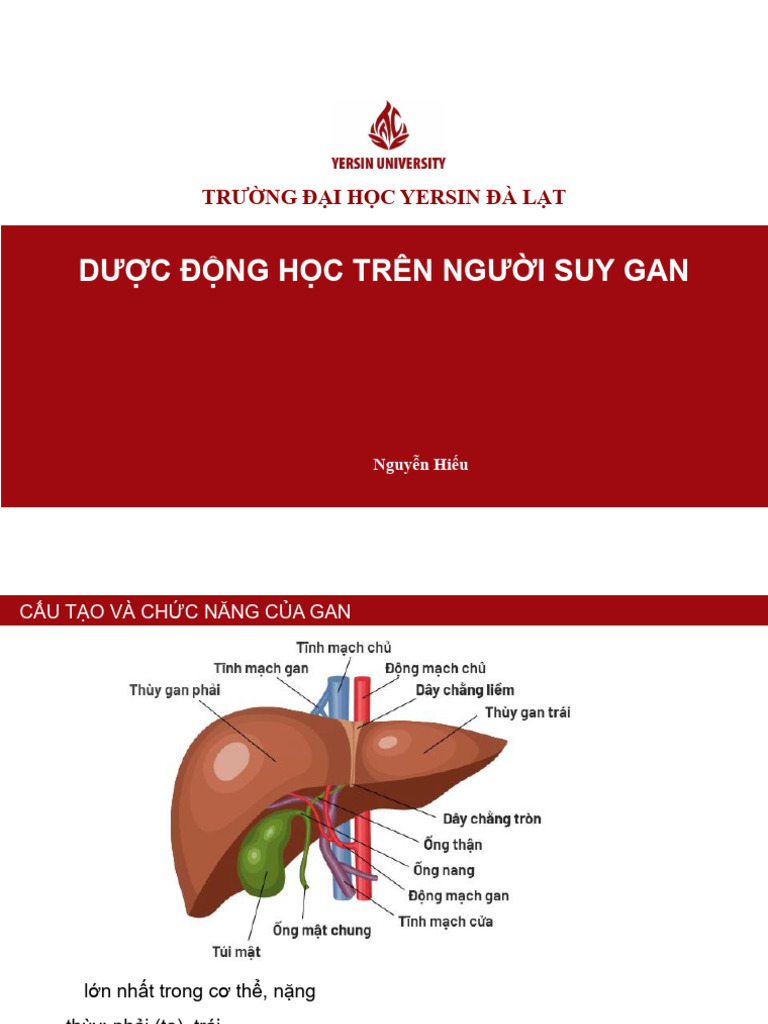DDH Trên Ngư I Suy Gan | PDF