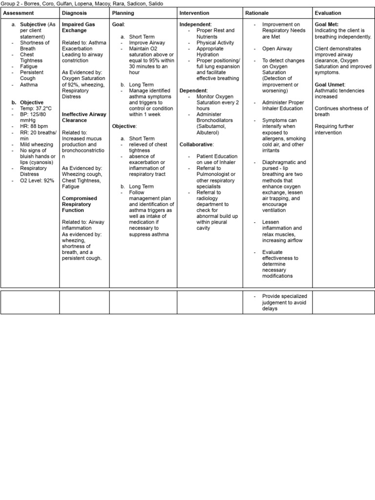 Group 2 Nursing Care Plan | PDF | Asthma | Respiratory Tract