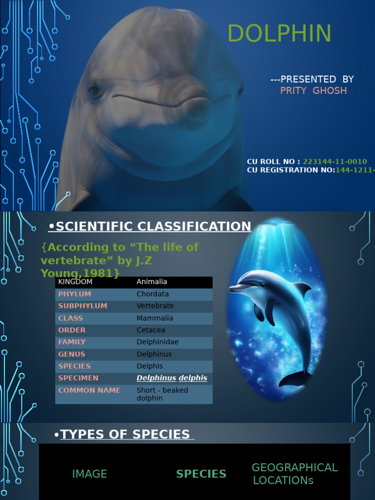 Presentation On Animal Behaviour | PDF | Zoology | Cetaceans