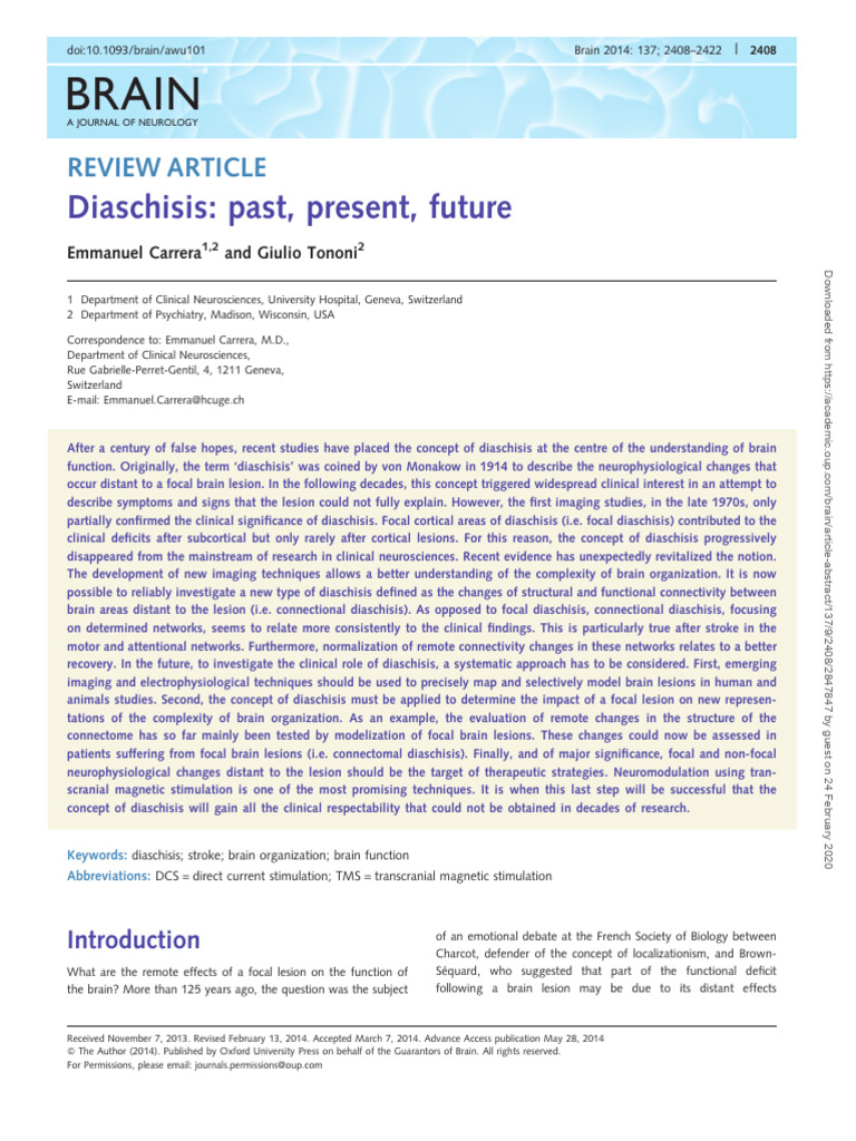 Diaschisis - Past, Present, Future | PDF | Cerebral Cortex | Brain