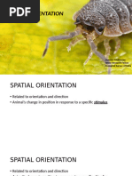 AQA Biology A-Level: Required Practical 10 | PDF | Risk | Safety