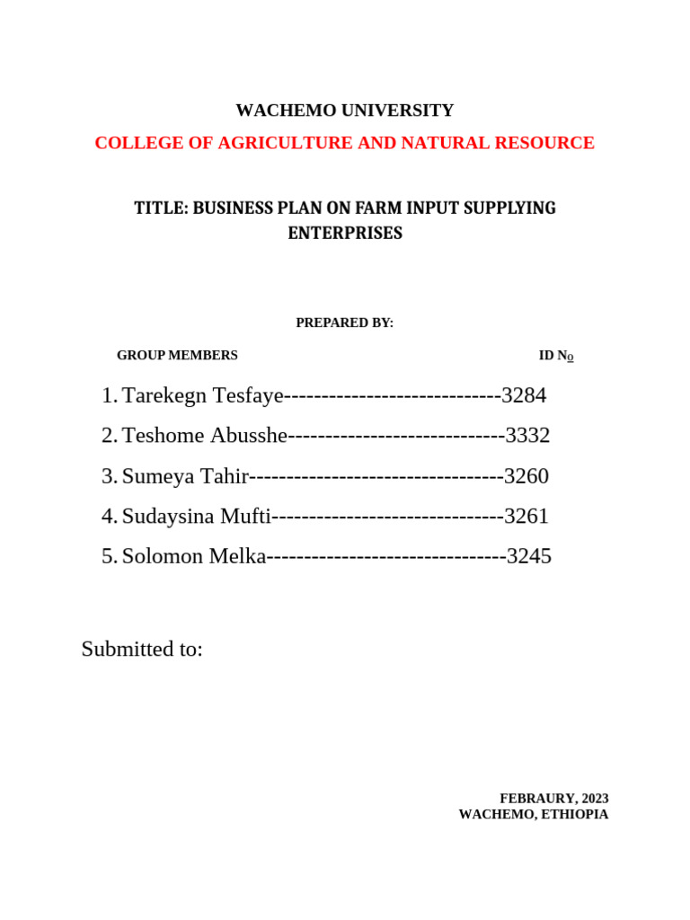 Tarekegn Final Input Supplay Business Plan Submitted For The Instructor in Word | PDF | Expense ...