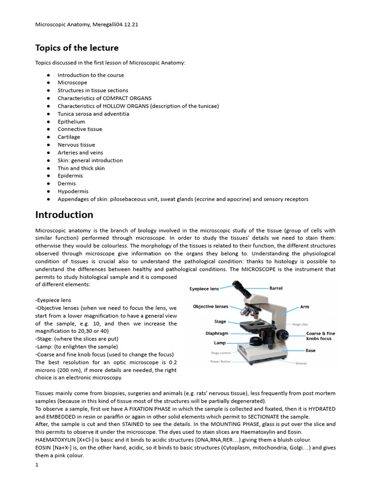 MicroscopicAnatomy 4 12 21 Lesson1 Part1 | PDF | Skin | Epidermis