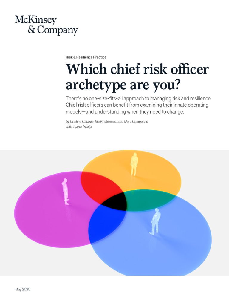 Chief Risk Officer Archetypes Explained | PDF | Risk | Business