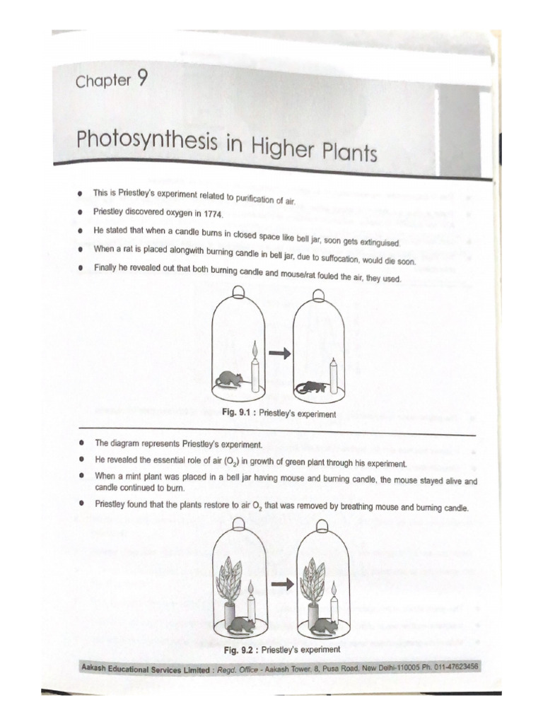 Chapter 9 - 11 | PDF