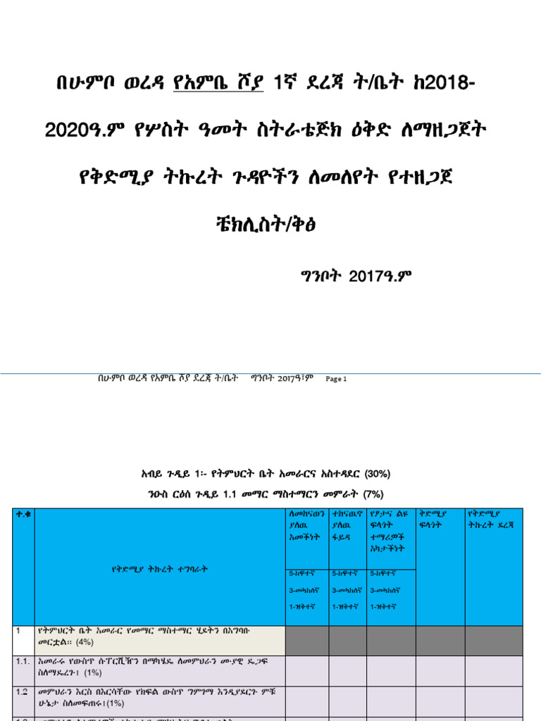 Priority Issues | PDF