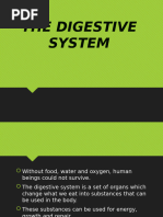 Magic School Bus Digestion Guide | PDF