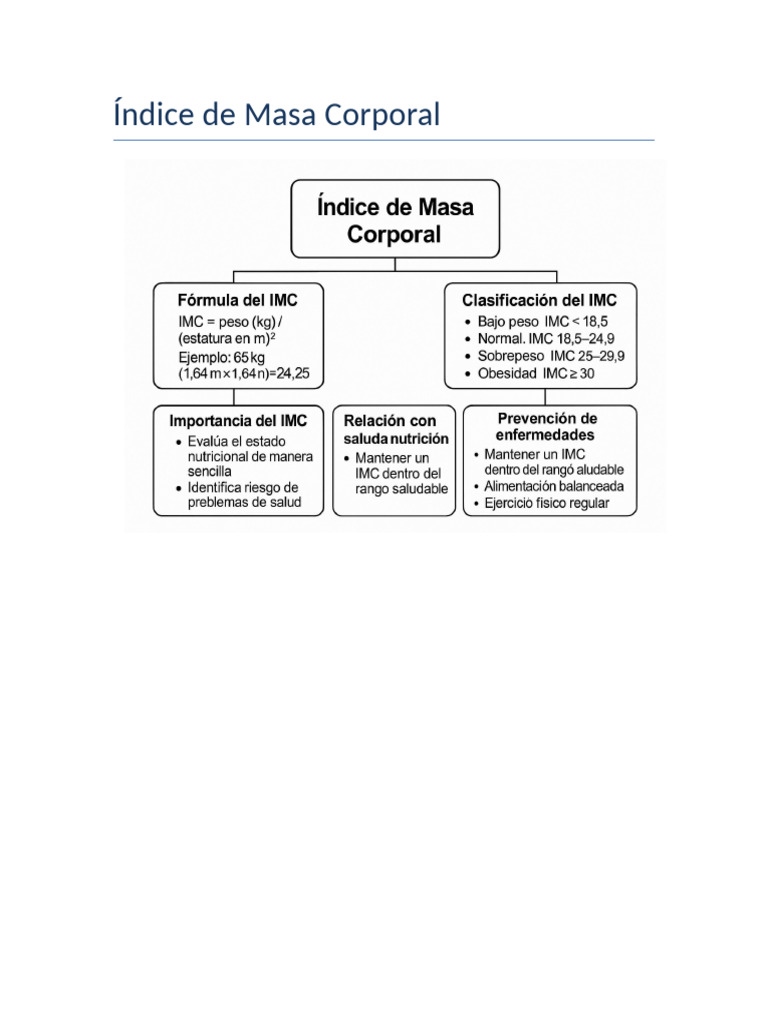 Mapa Conceptual IMC | PDF