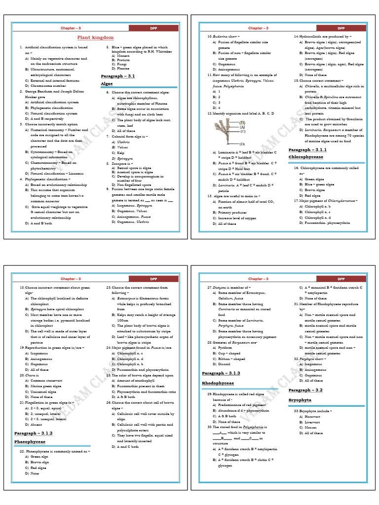 Ch - 03 Plant Kingdom DPP XI (2 Files Merged) | PDF | Moss | Spore