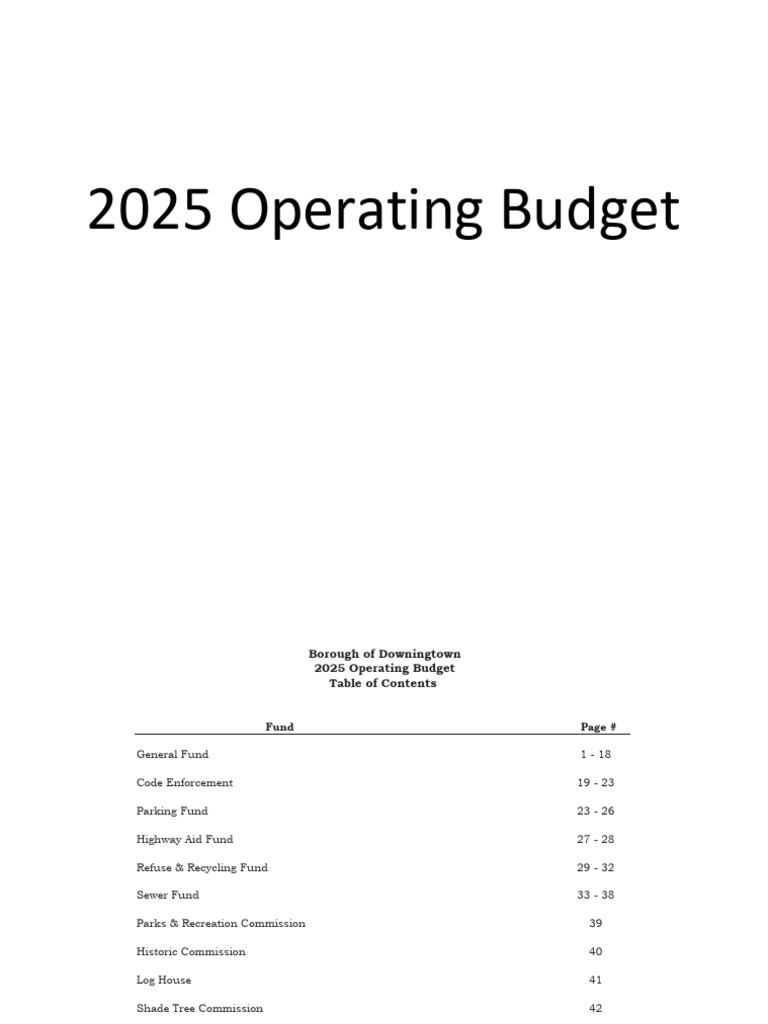 2025 Operating and Capital Budget | PDF | Taxes | Police