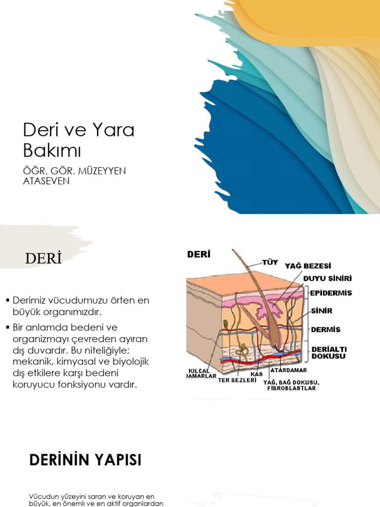 Yara 2 | PDF