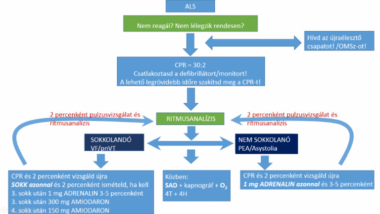 ALS Folyamatabra | PDF