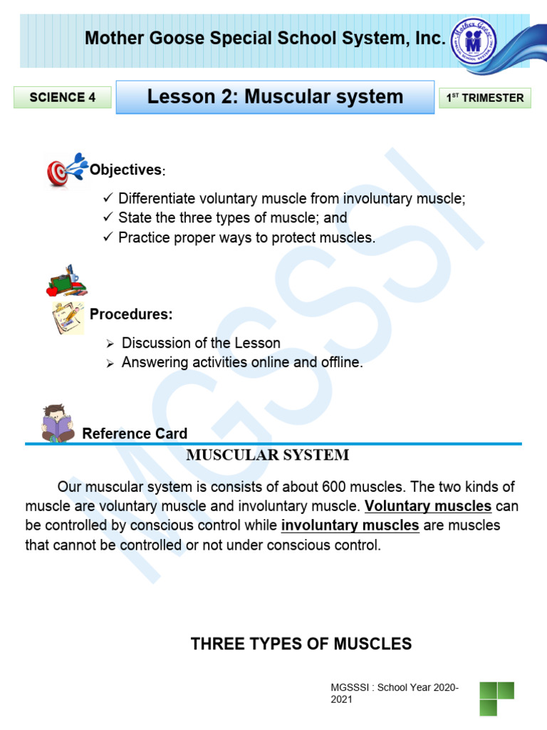Sci4 Reference2 Muscular Sytem | PDF | Muscle | Diseases And Disorders