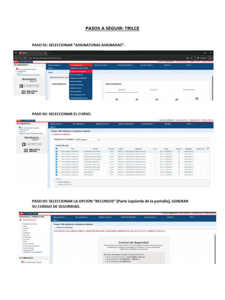 Pasos A Seguir Trilce-Carpeta Docente | PDF