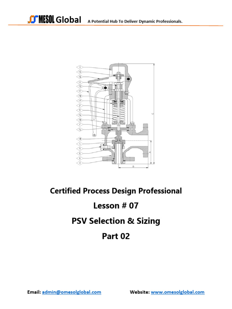 PSV Sizing Calculation Guide | PDF | Fluid Dynamics | Valve