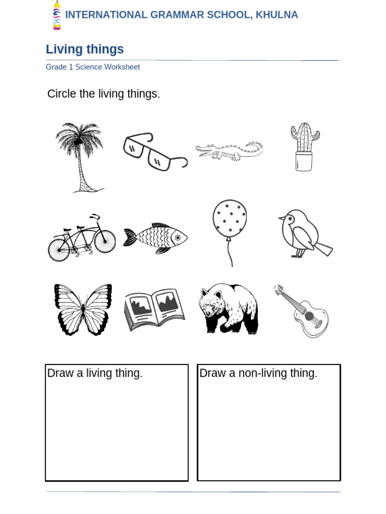 Grade 1 Living Things A | PDF