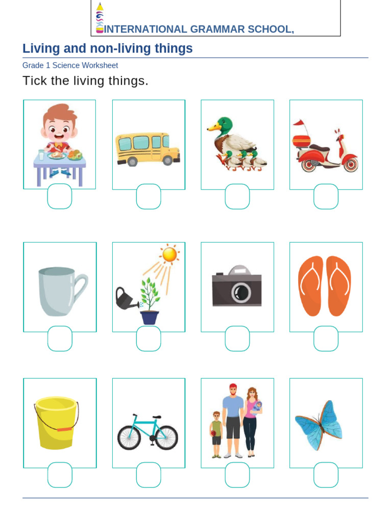 Grade 1 Living Things C | PDF