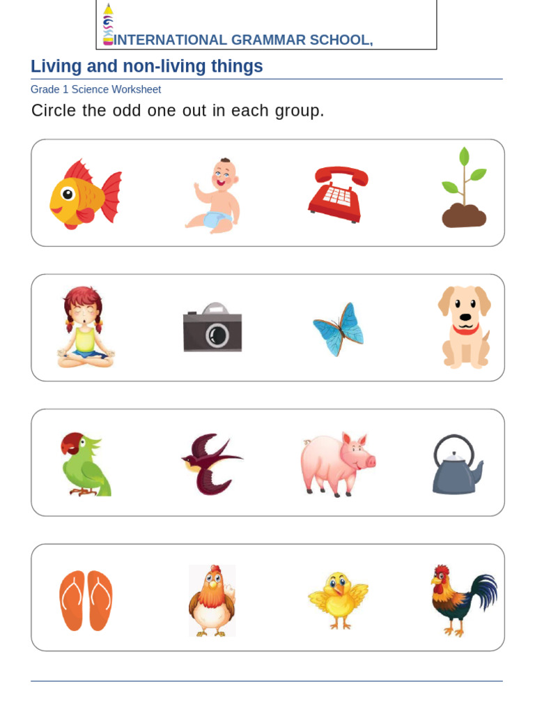 Grade 1 Living Things D | PDF